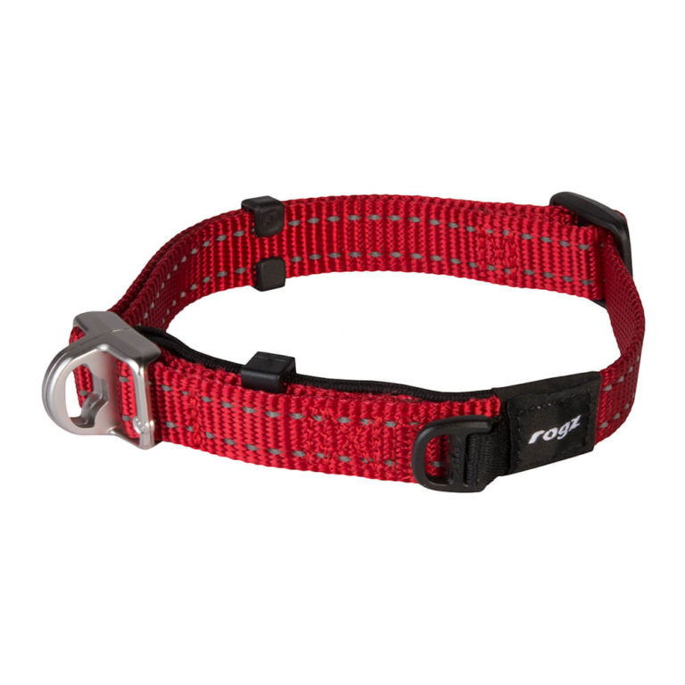 Rogz Reflective Utility Safety Collar | Dog Collars | Safety Dog Collars
